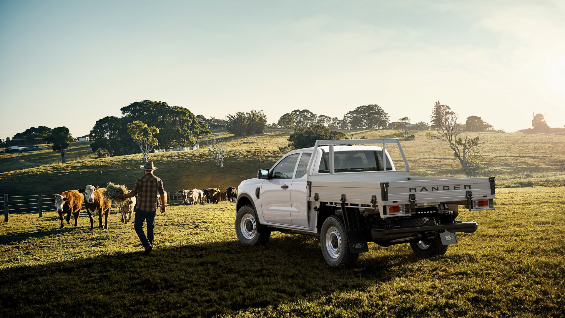 Ford announces pricing for updated Ranger – Auto Trader NZ